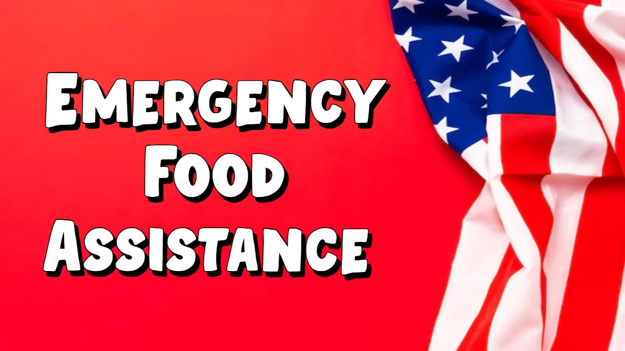 Emergency Food Assistance 2025: Check Eligibility and How to Apply for ...